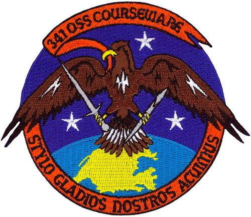 USAF 341st OPERATIONS SUPPORT SQUADRON COURSEWARE PATCH | eBay