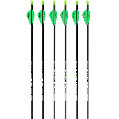Easton Arrow Axis Carbon 6pk 340 Spine 819388 2" Blazer Vanes X Nocks ...