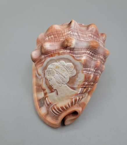 Italian Carved Cameo Conch Shell Genuine Handmade Victorian Style Beach ...