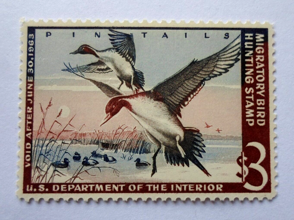 1962 US Federal Duck Stamp - Pintail Drakes - Cat # RW29 Single Stamp ...