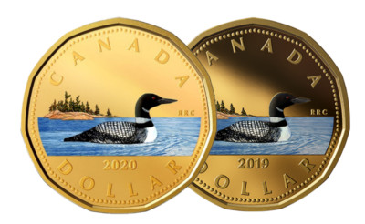 🇨🇦 Rare Canada Special Loonie $1 Dollar Coin, Silver Gold, UNC, 2019 ...