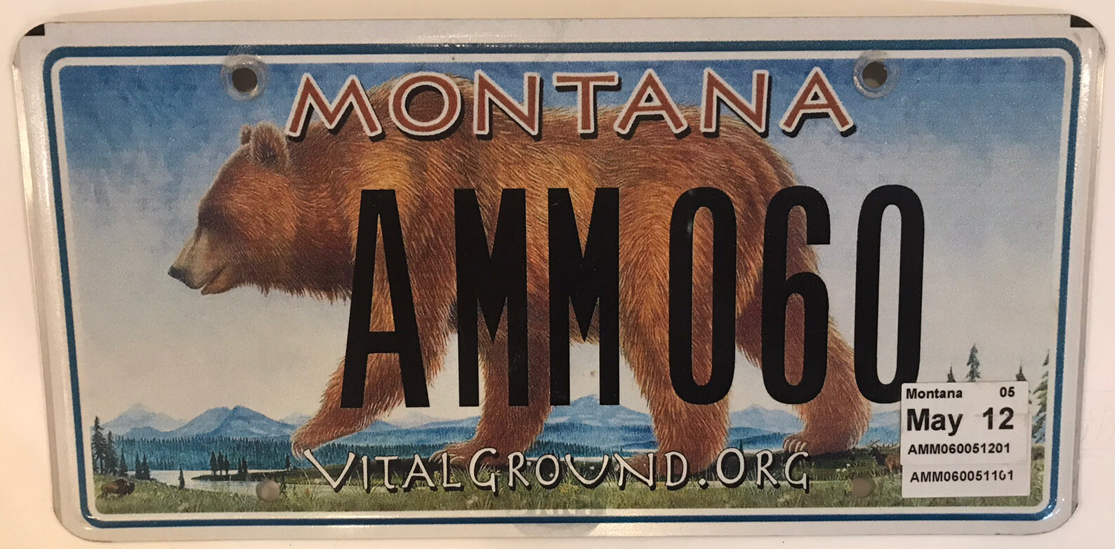 WILDLIFE GRIZZLY BEAR license plate Yellowstone Glacier National Park ...
