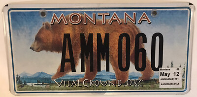 WILDLIFE GRIZZLY BEAR license plate Yellowstone Glacier National Park ...