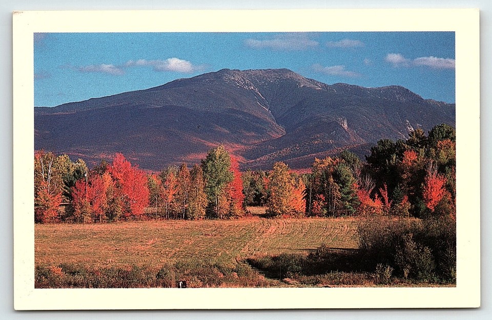 VINTAGE WHITE MOUNTAINS NH LAFAYETTE & LINCOLN MTN CHUCK THEODORE POSTCARD P1546 | eBay