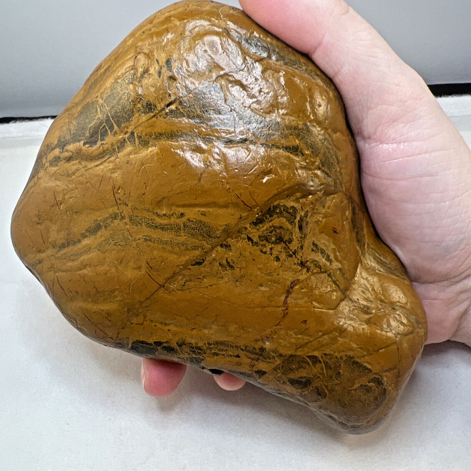 Yellow Jasper WYO Banded Iron Tiger Ironstone GENESIS Mormon Seer Stone ...