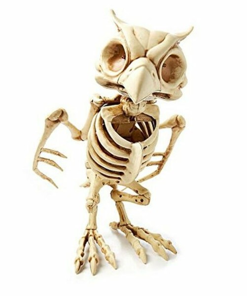 Halloween Animated Owl Skeleton With Lighted Eyes Sound Effects for ...