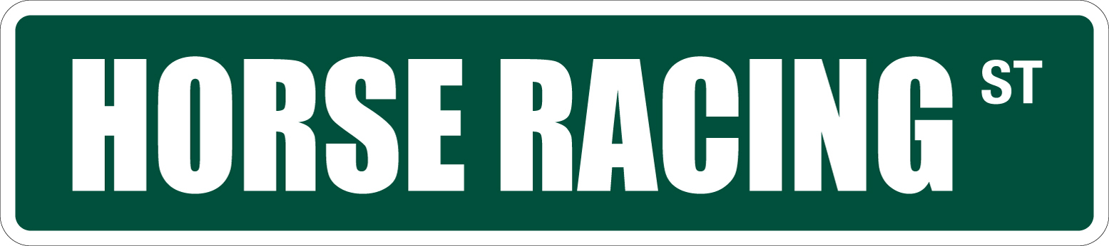 *Aluminum* Horse Racing 4" x 18" Metal Novelty Street Sign SS 1738 | eBay