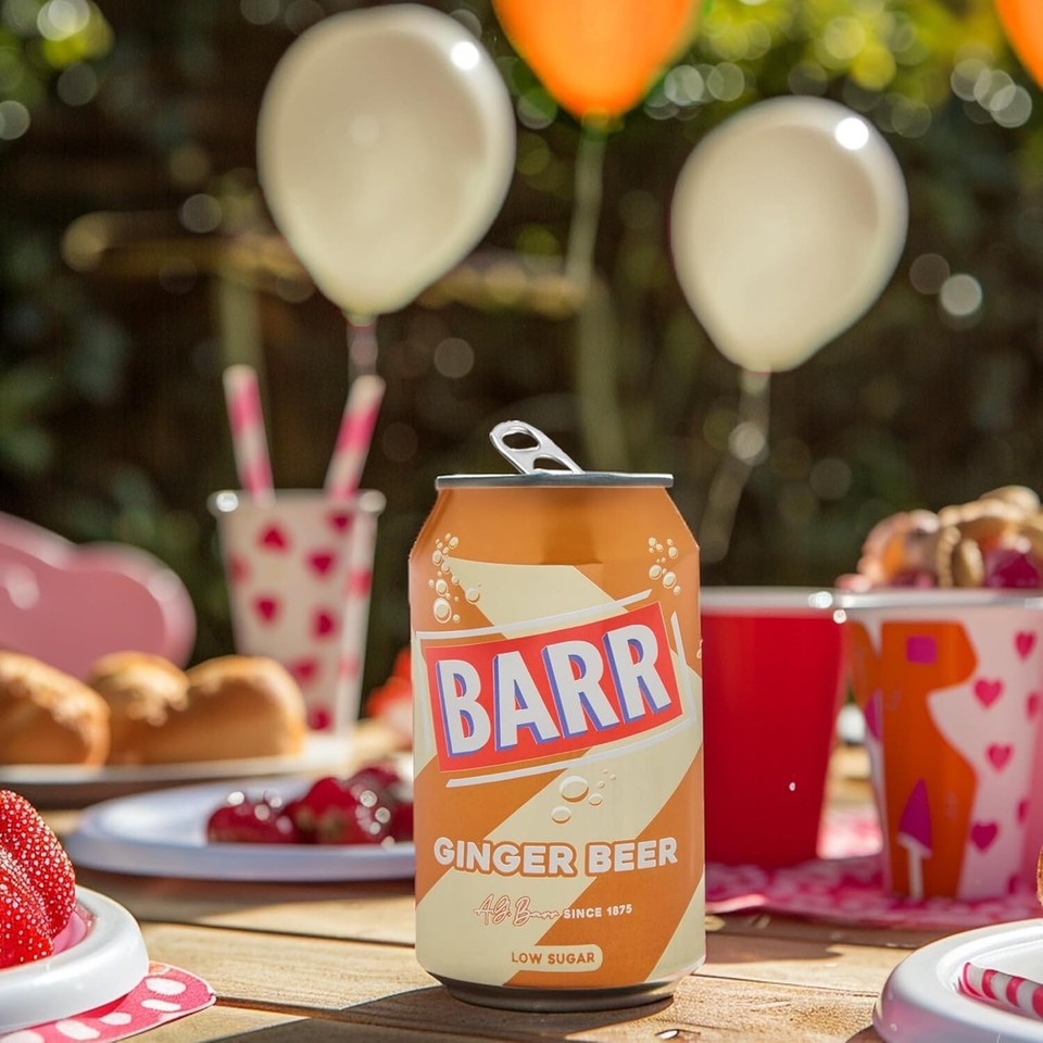 BARR since 1875, 24 Pack Classic Ginger Beer, Non-Alcoholic Fizzy Drink ...