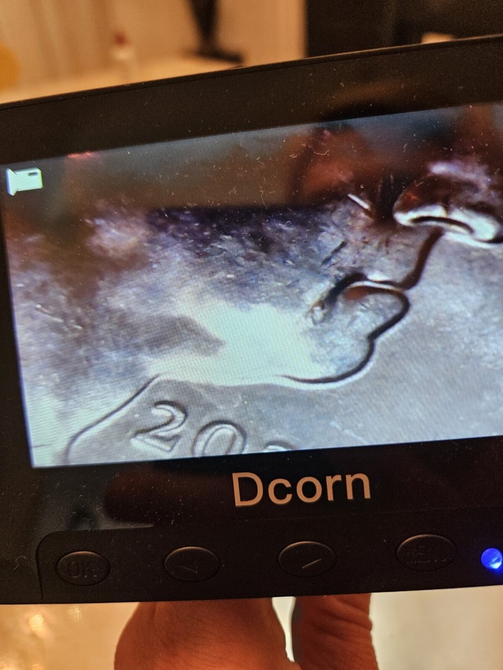 2022 p quarter "drooling george error"! | eBay