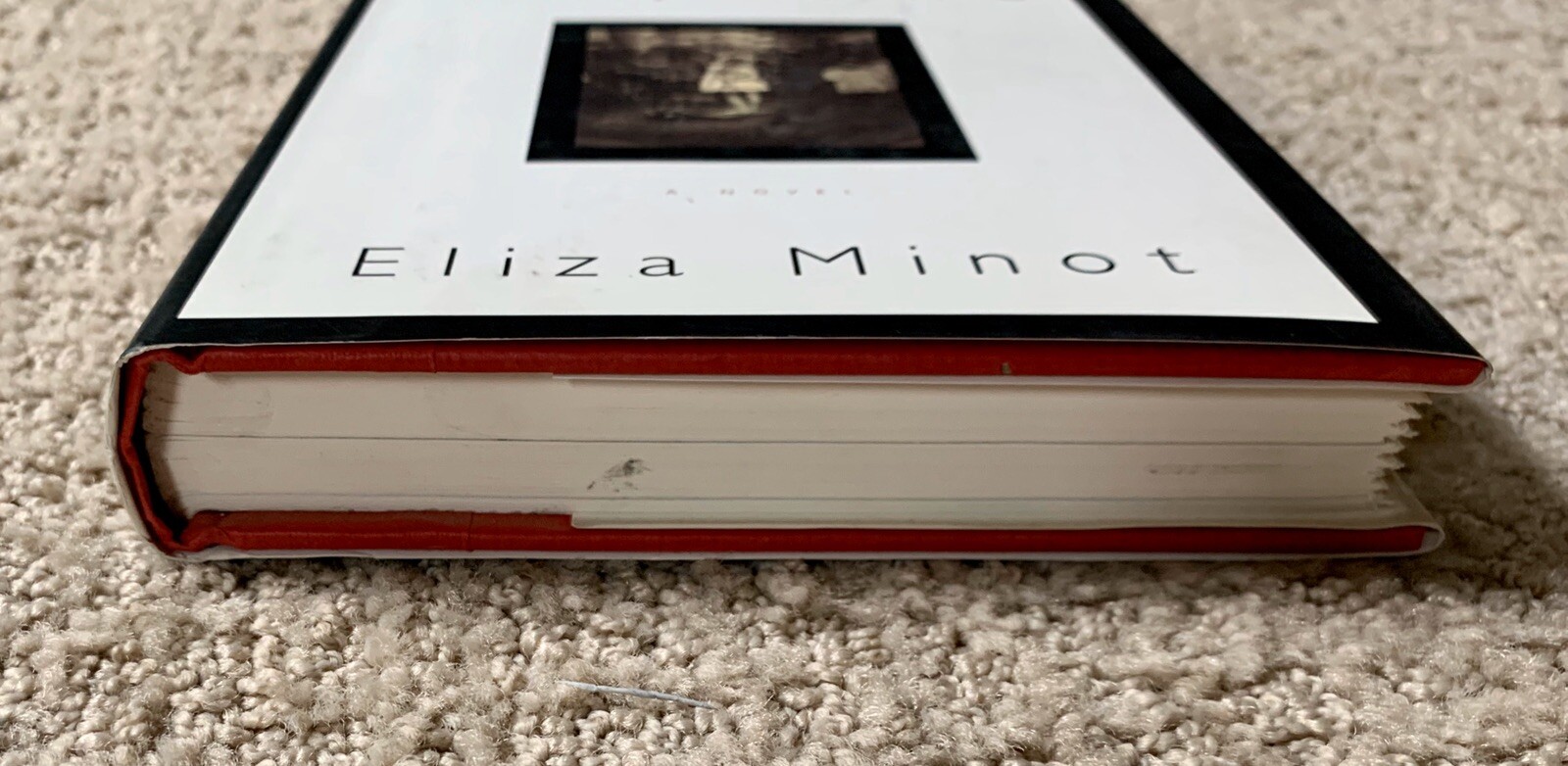 Tiny One by Eliza Minot (1999, Hardcover) for sale online | eBay