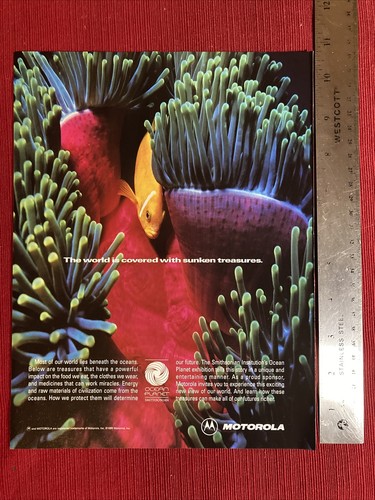 Ocean Planet Smithsonian Motorola 1995 Print Ad - Great To Frame! | eBay