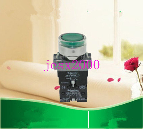 1PC NEW Button switch with lamp 22mm XB2BW33B1C 24V | eBay