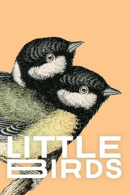 Little Birds by Sam Pink Paperback Book 9781087949543| eBay
