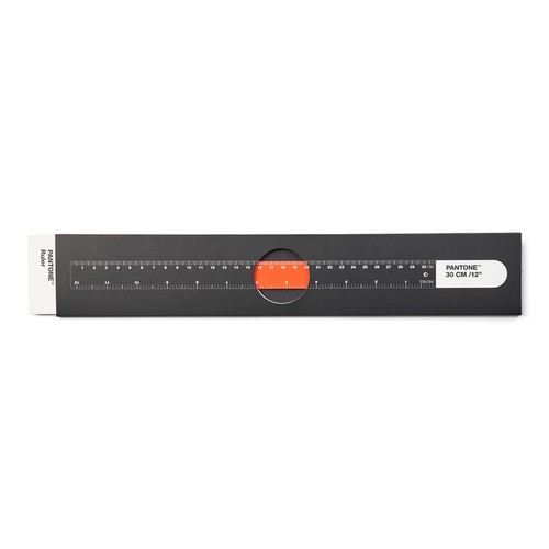 Pantone Spring Steel Ruler 30 cm and 12 Inches Ideal for Office and ...