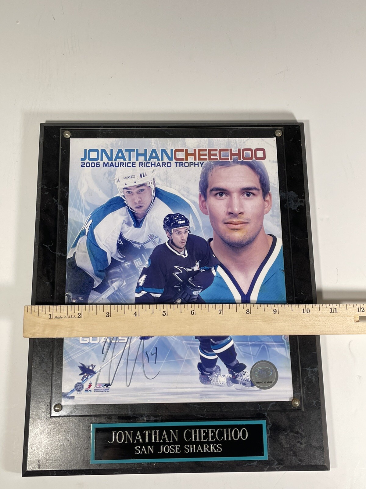 San Jose Sharks Jonathan Cheechoo authographed picture Frame Certified ...