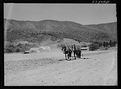 Ida Valley Farms,Page County,Virginia,VA,Shenandoah Homesteads,1941,FSA ...
