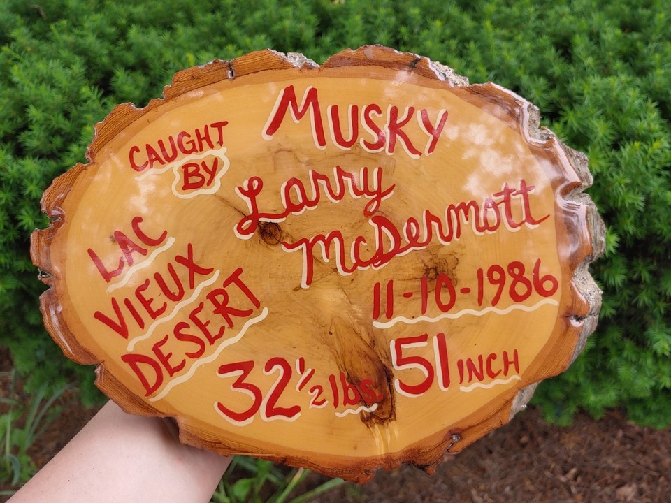 VTG REAL FISH TAXIDERMY 51" MUSKY WALL MOUNT By Lax 32.5lbs WI Lac ...