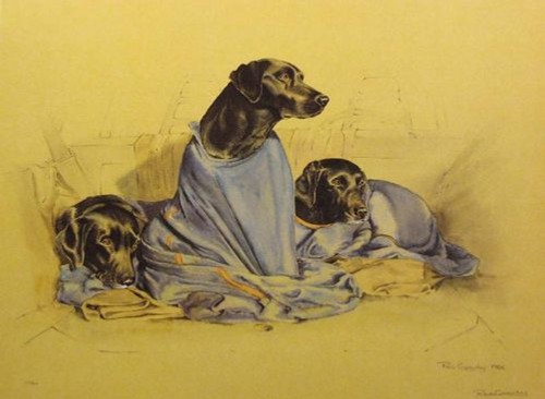 Ros Goody "In The Bag" Hand Singed & Numbered Art Offset Lithograph ...