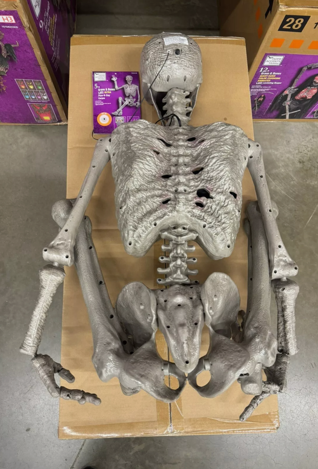 🔴 5 Foot ULTRA POSEABLE CORPSE Skeleton Home Depot Halloween Decoration ...