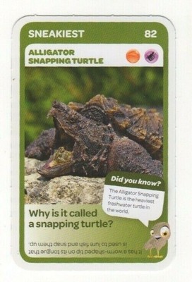 Woolworths Australia Animals, 2014. Alligator Snapping-Turtle | eBay
