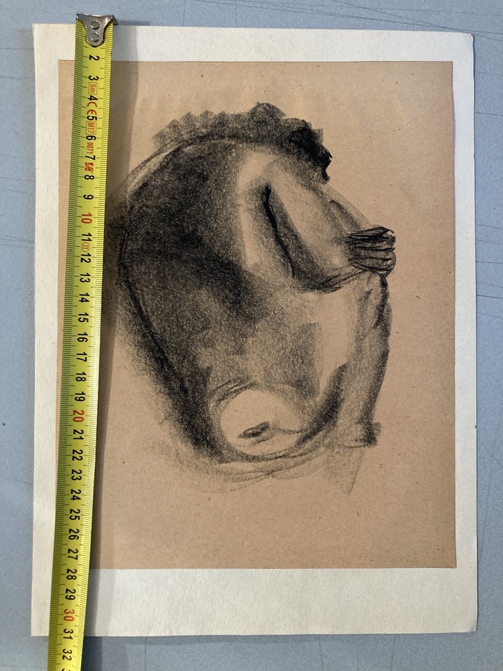 Very Nice Drawing Charcoal Paper Monkey Baboon Portrait Animal 1950 to ...