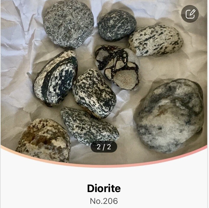 Igneous Rocks Diorite