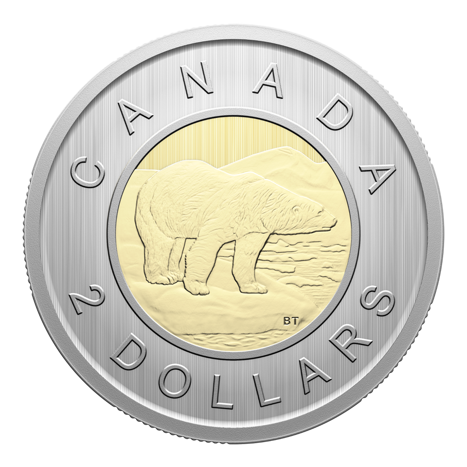 2026 Canada Specimen Set with Barn Owl Loon Dollar | eBay