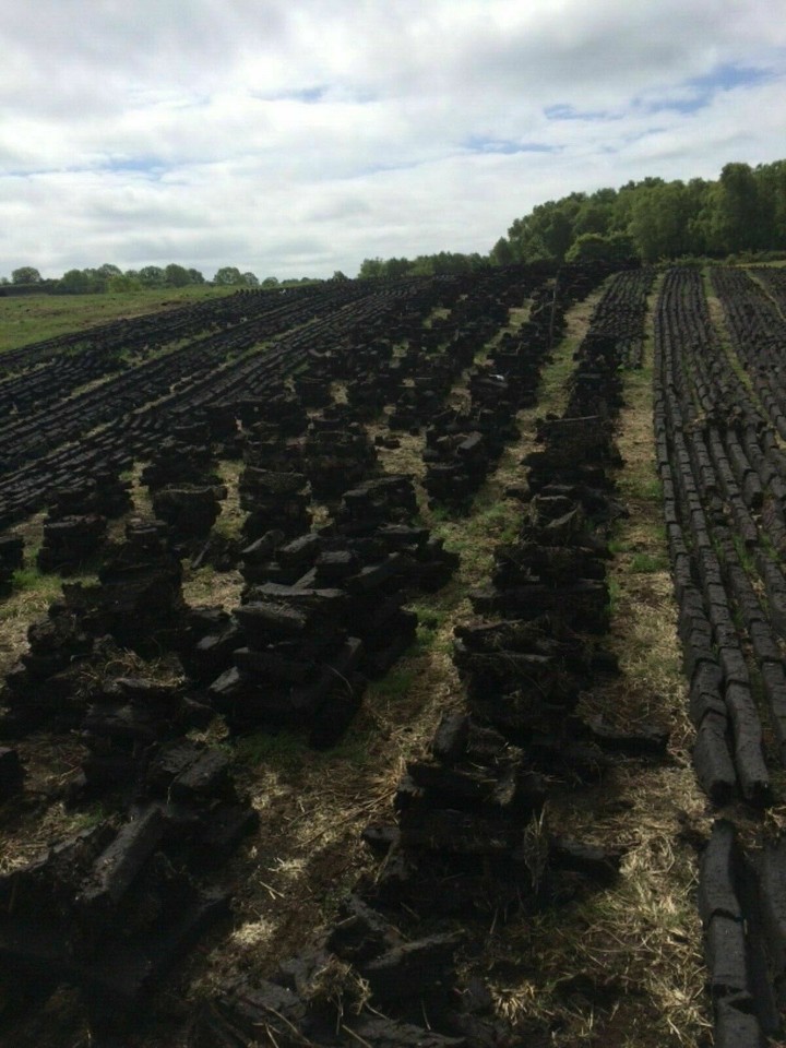 Hadley Irish Fire Peat Burning Natural Hand Cut Turves Log Peat Heat ...
