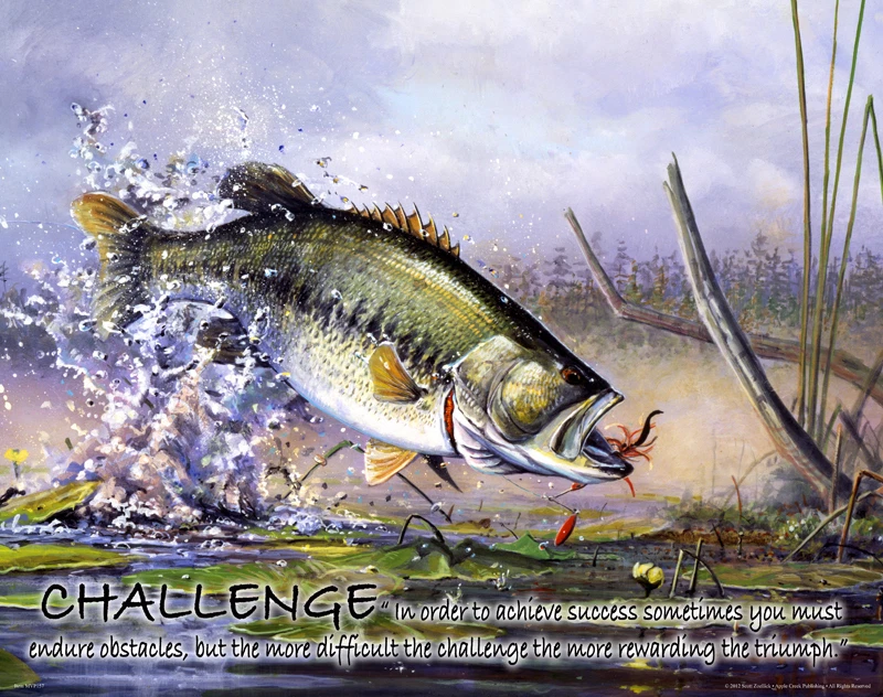 Largemouth Bass Art