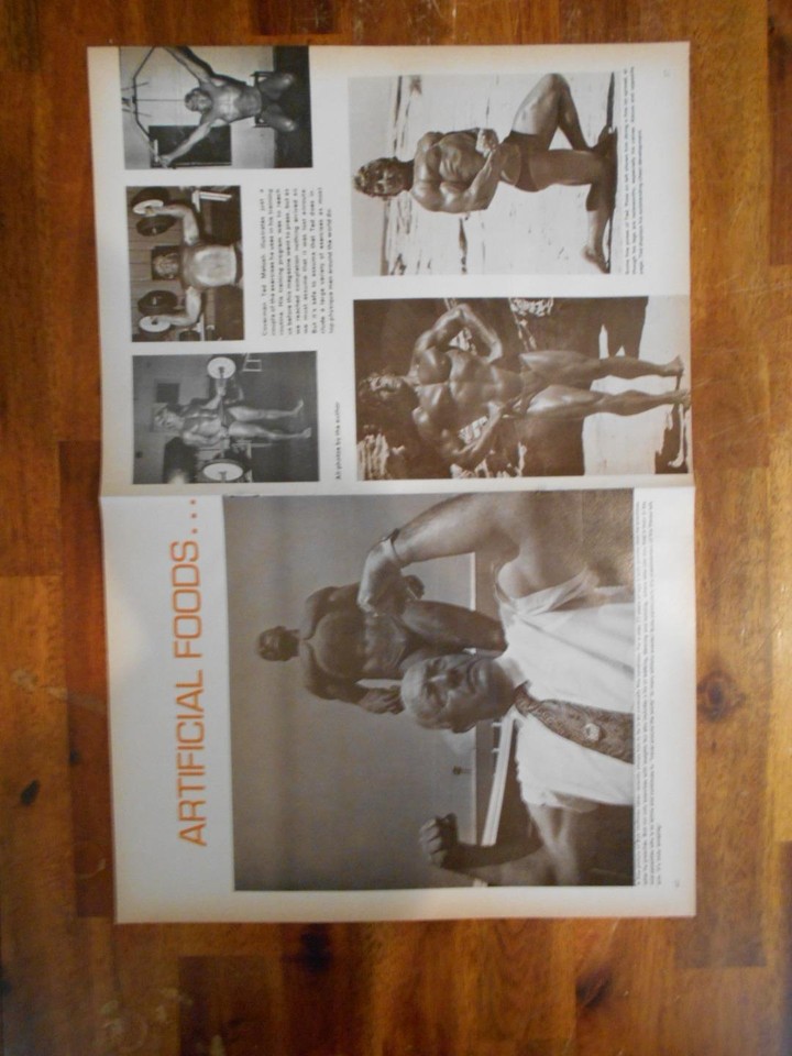 TED MATUSH bodybuilding muscle fitness POSTER | eBay