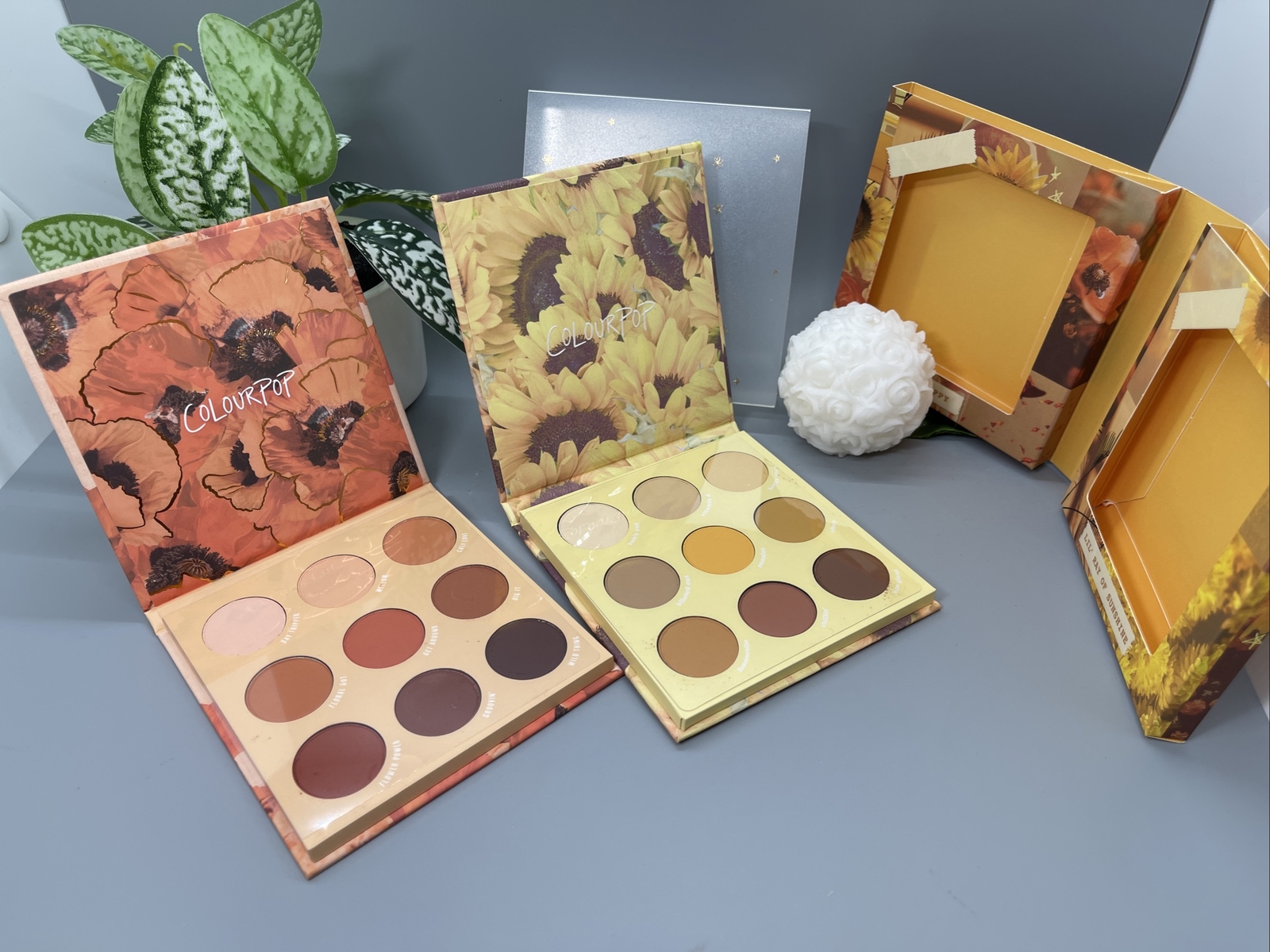 colourpop into bloom palette duo - Big Poppy & Lil’ Ray Of Sunshine NIB ...