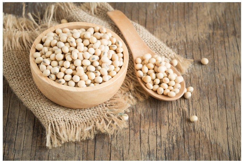 Jayone Non-GMO USA Soybeans for Tofu Soymilk Vegetarian Protein 4lb ...