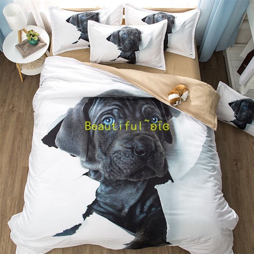 What Size Bed Would A Black Labrador Need