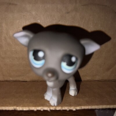 Littlest Pet Shop LPS # 319 Greyhound Gray Dog Gray Whippet Blue Eyes ...