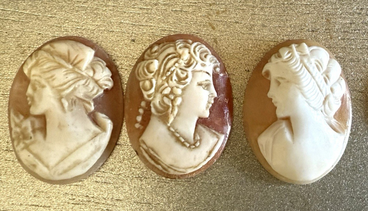 3 Italian Victorian Carved Shell Cameos Matching Ladi… - Gem