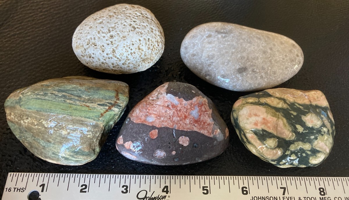 Lake Michigan Rock Identification FOSSIL & ROCK HUNT AT CRESCENT BEACH