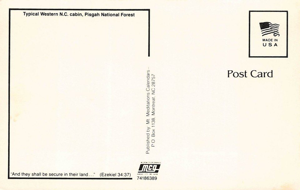 Pisgah National Forest NC Vanderbilt Log Cabin Cradle Forestry Vtg ...