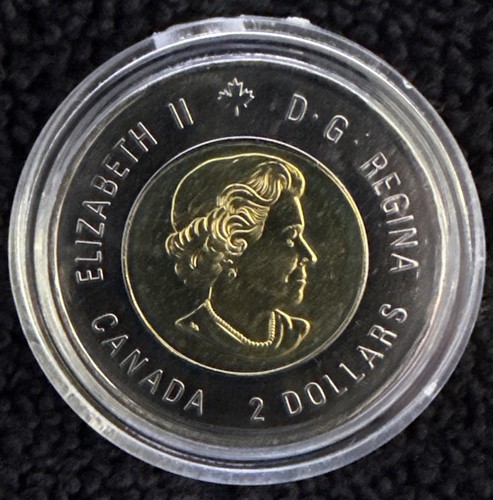 2018 Canada 2 Dollars Armistice Poppy Coloured Toonie Coin | eBay