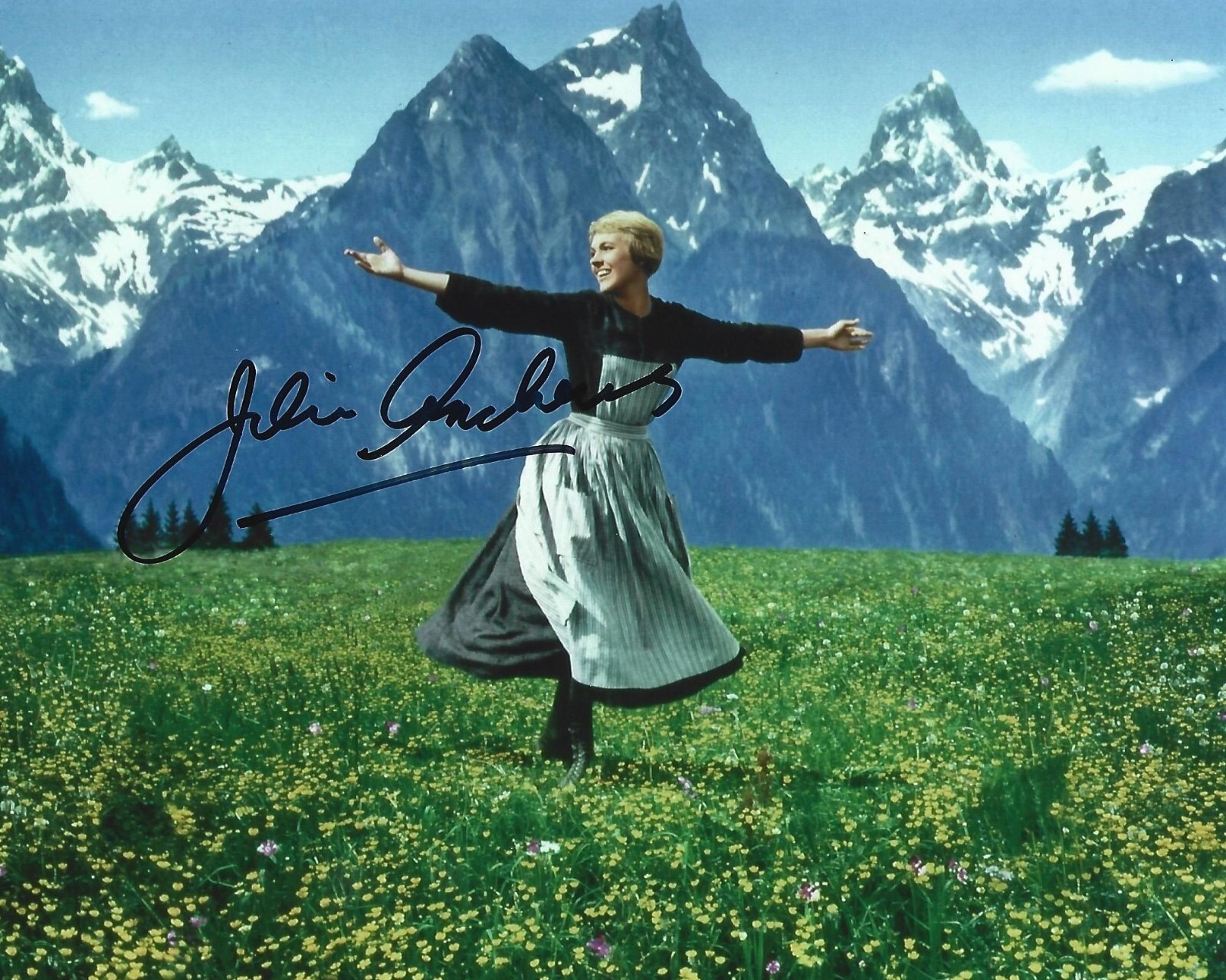 Julie Andrews Sound Of Music Favorite Things