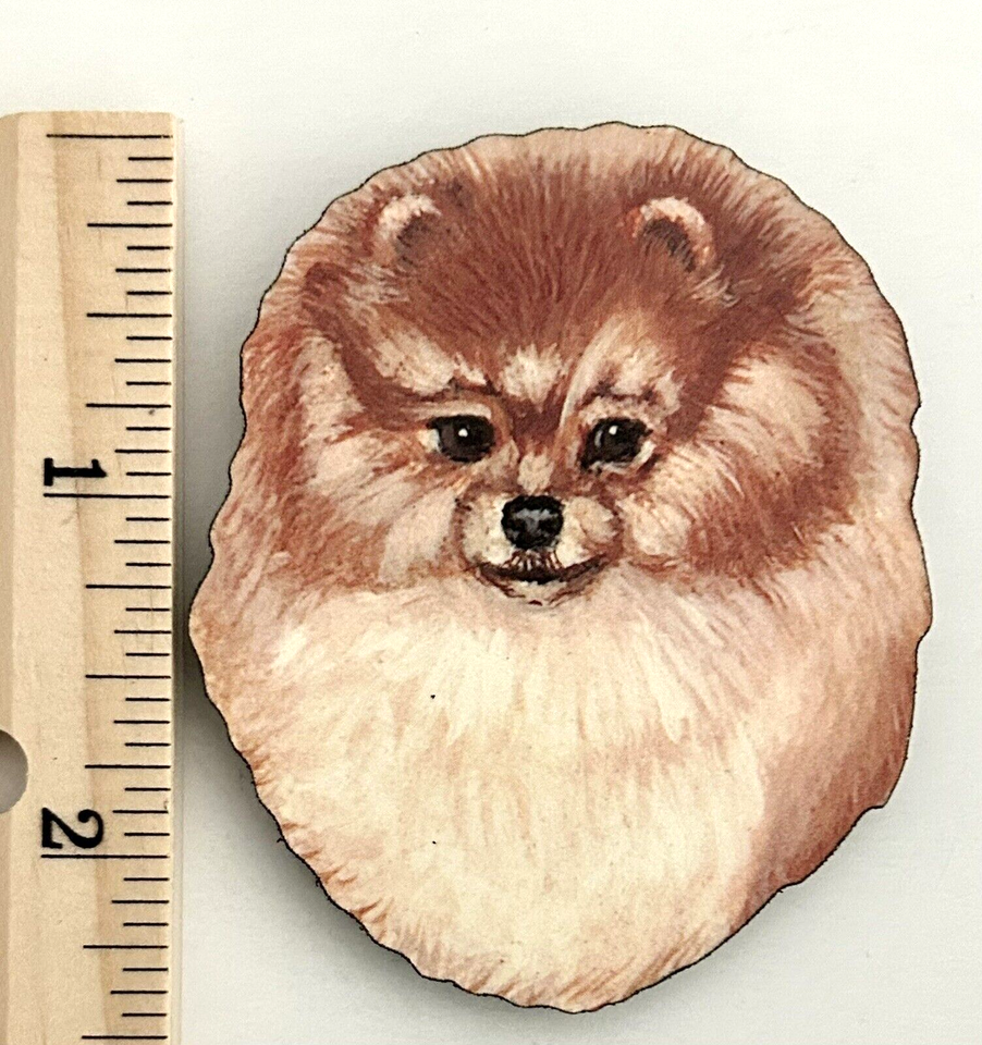 Pomeranian Fridge Magnet ~ By Chuck Brown ~ Head Study | eBay