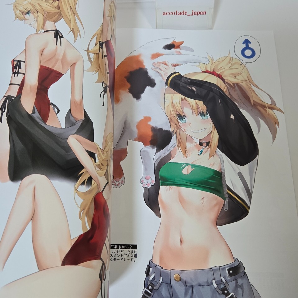 Mordred Collection 5 Fate/Grand Order Art Book Tonee A4/32P Doujinshi C105 | eBay