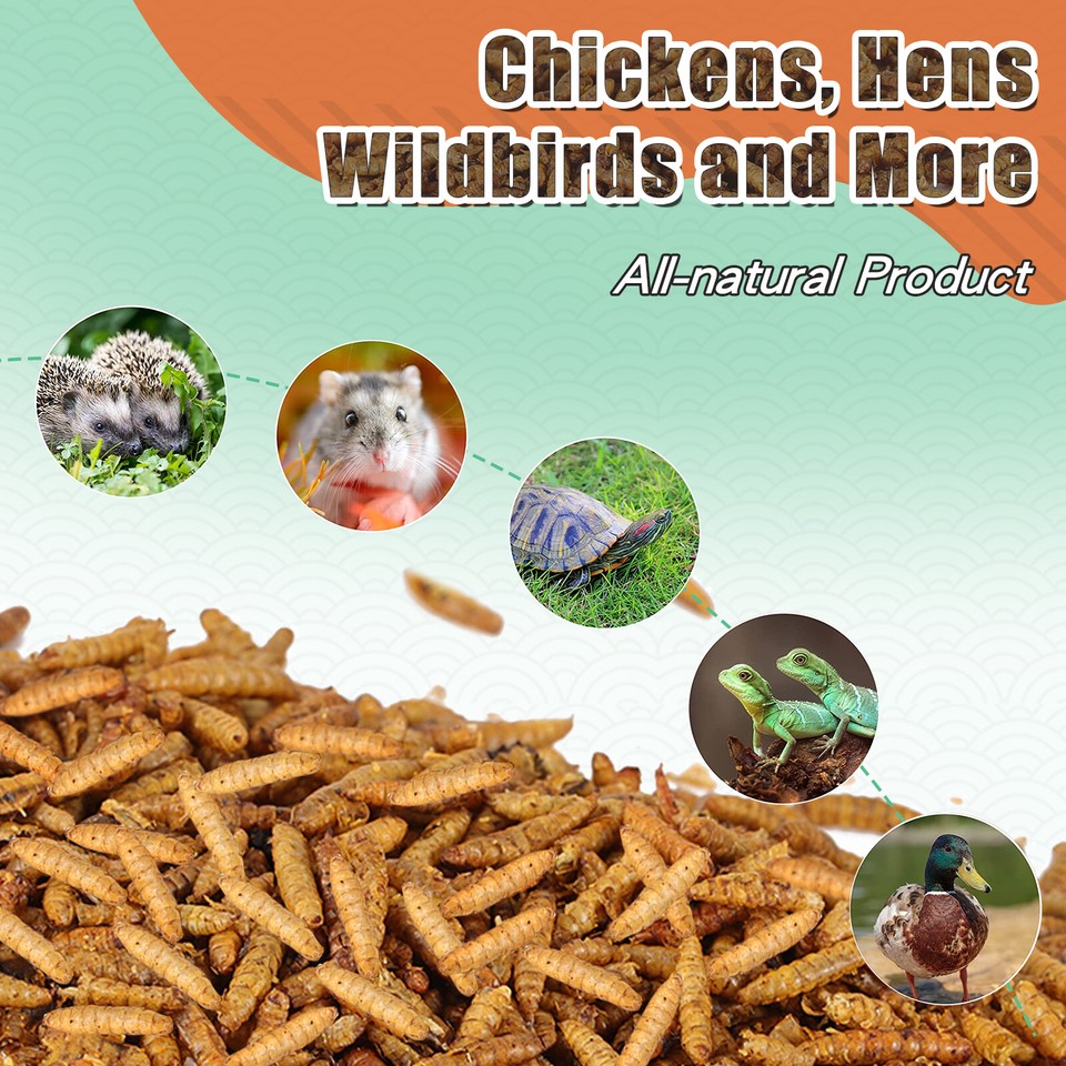 5lbs Non-GMO Dried BSF Mealworms High-Protein Worms Fit Chicken Treats ...