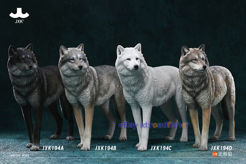 JXK 1/6 Arctic Wolf Model Canis Lupus Arctos Figure Wild Animal Decor ...