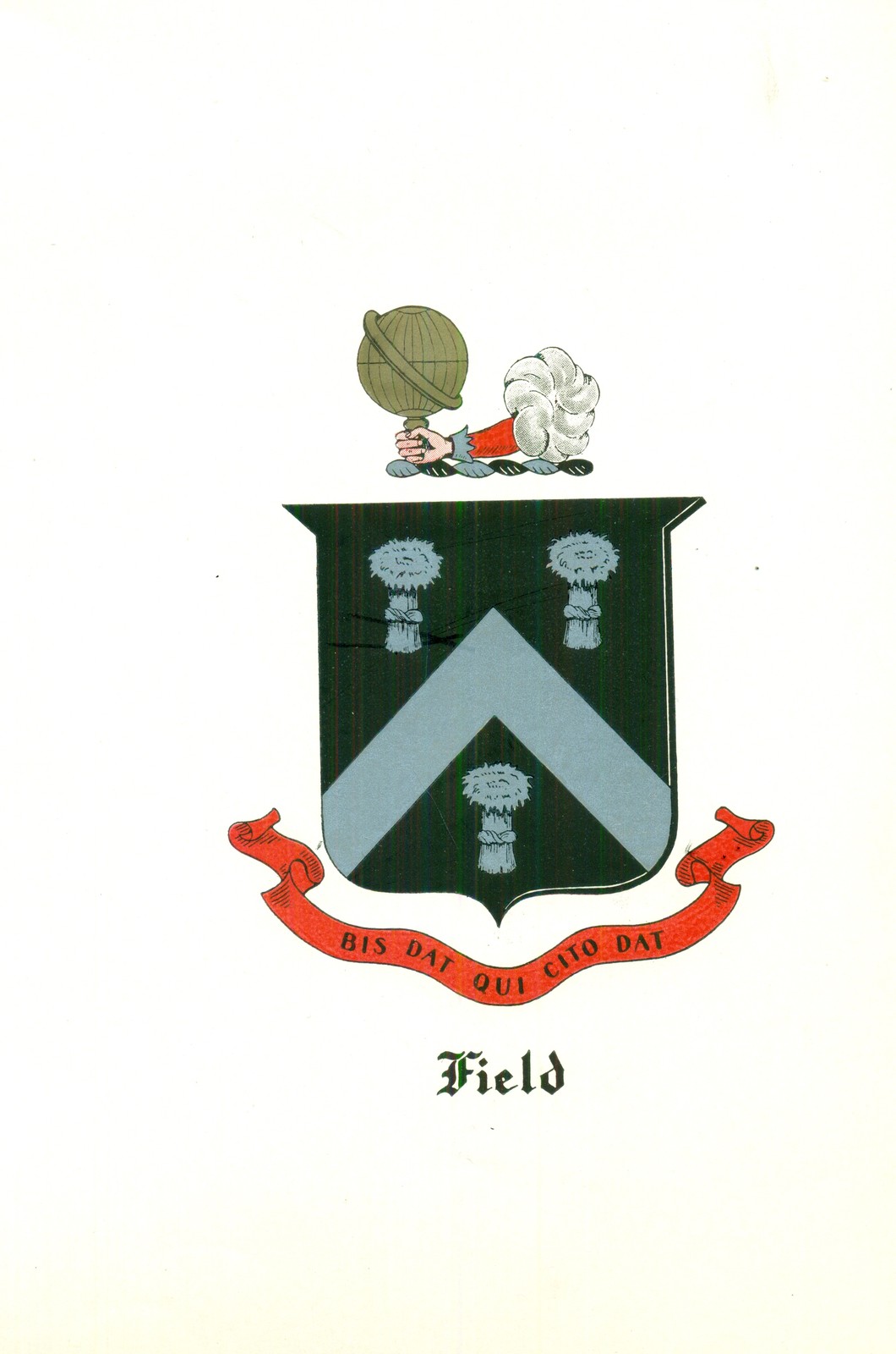 *Great Coat of Arms Field #1 Family Crest genealogy, would look great ...