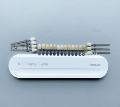 Dental A-D Shade Guide BL1 BL2 BL3 BL4 Bleach Teeth 20Color Tooth Model ...