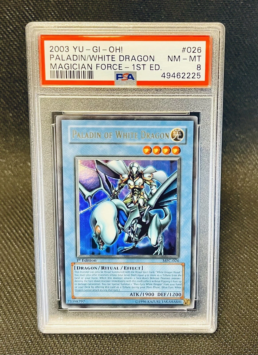 Paladin Of White Dragon