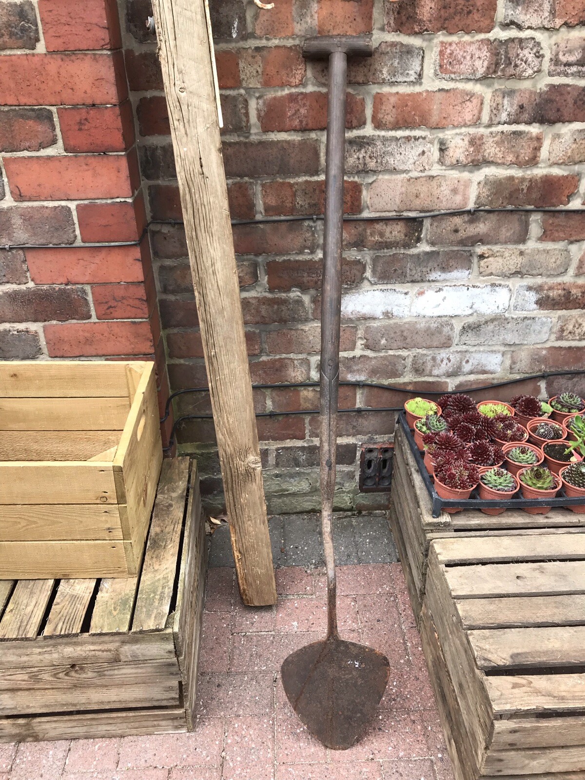 reclaimed antique Turf Cutting Spade | eBay