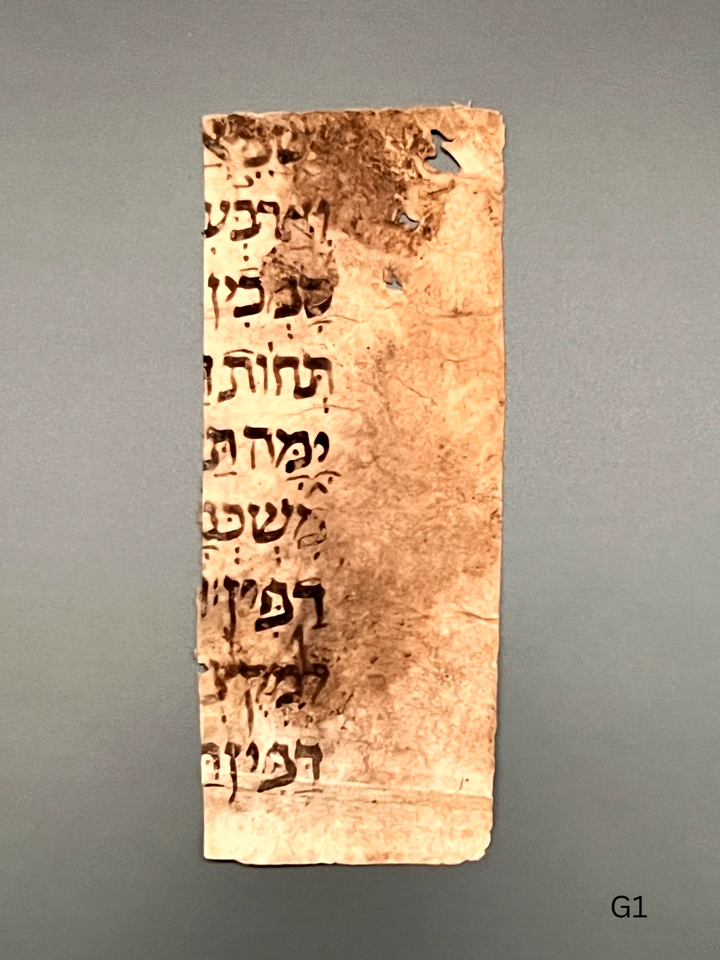11th Century Biblical Hebrew CODEX; Containing the Book of Exodus ...