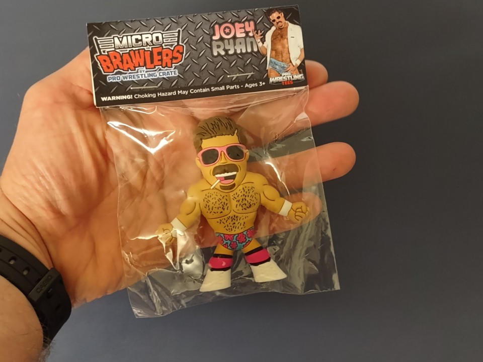 Joey Ryan Micro Brawler New/Sealed | eBay