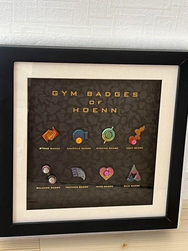 Gym Badges Of Hoenn Pokemon Center Online Limited | eBay
